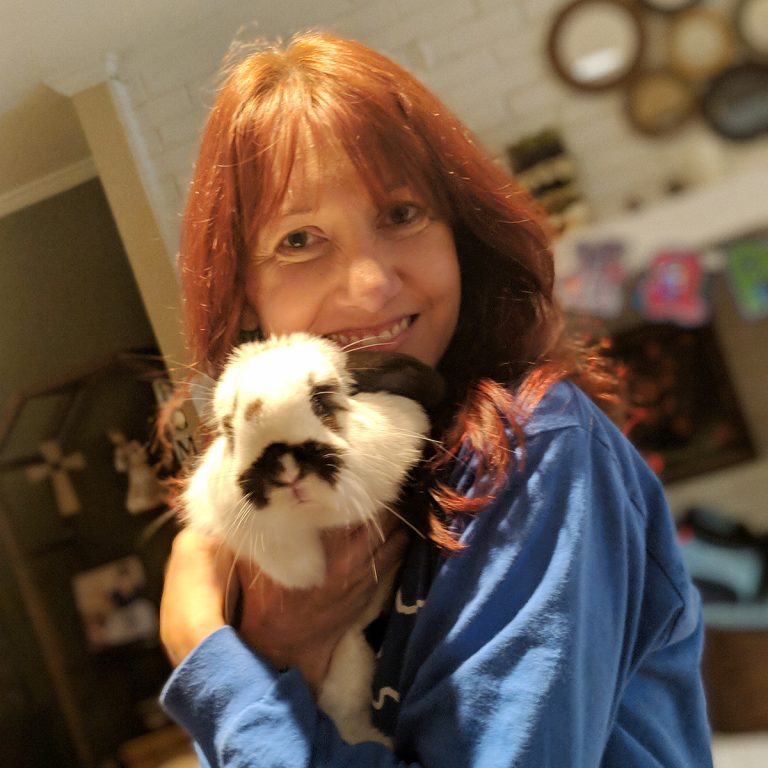 Long-haired Rabbit Breeds - Every Bunny Welcome