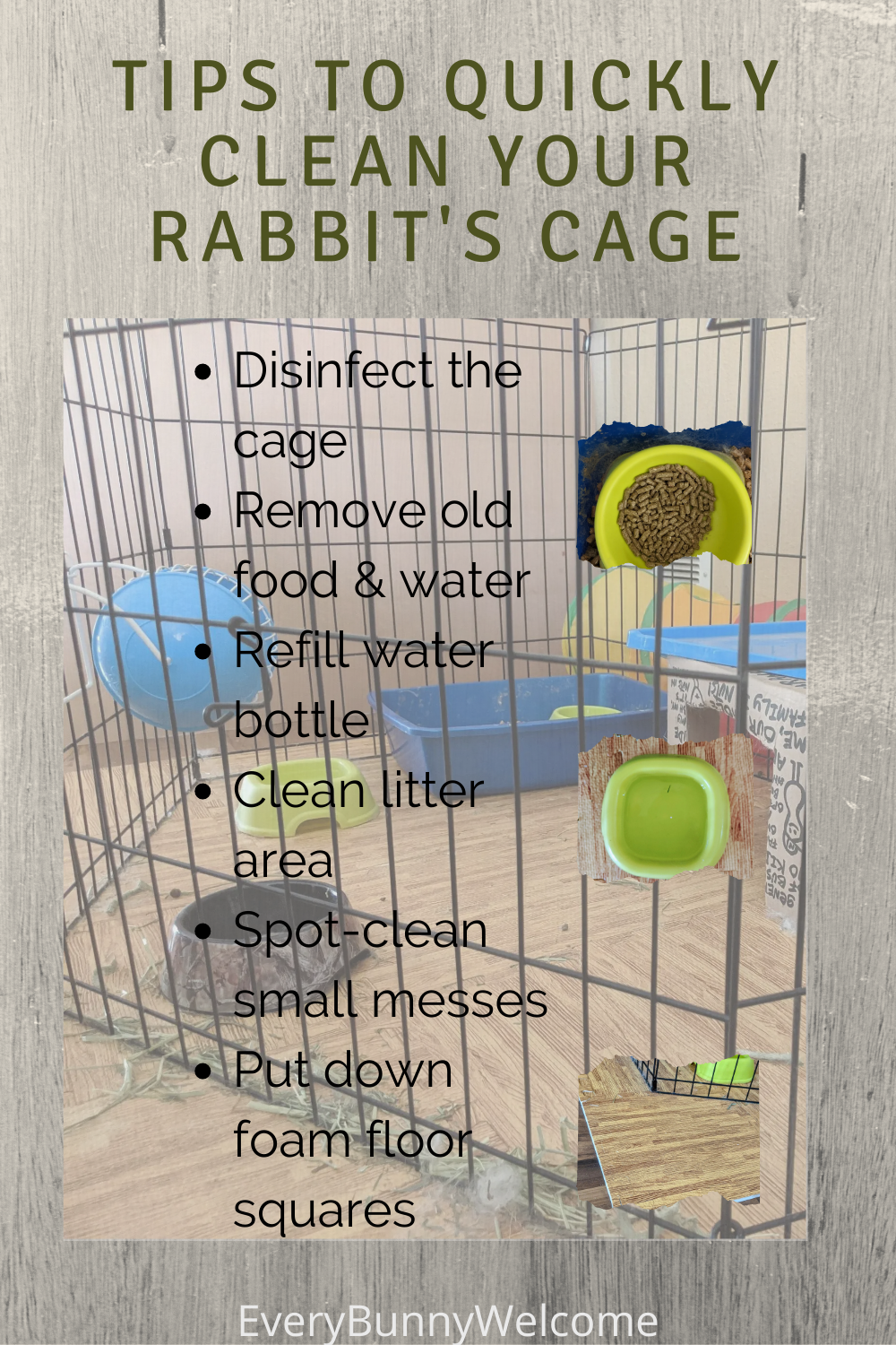 Tips for Quickly Cleaning Your Rabbit’s Cage - Every Bunny Welcome