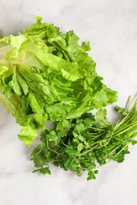 Ultimate List of the Best Veggies for Rabbits - Every Bunny Welcome